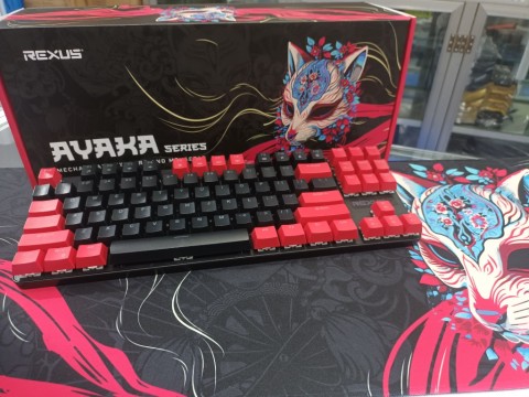 Rex Computer - KEYBOARD